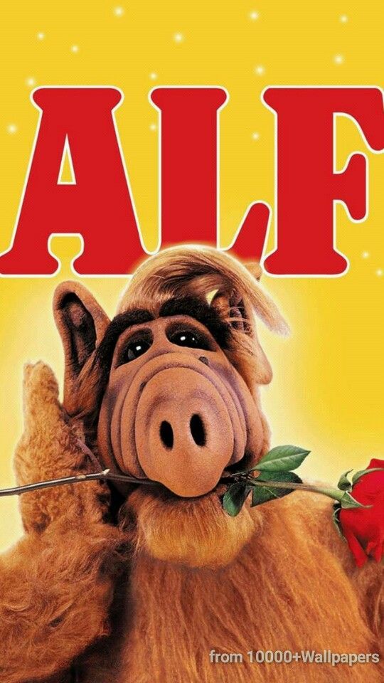 ALF 01